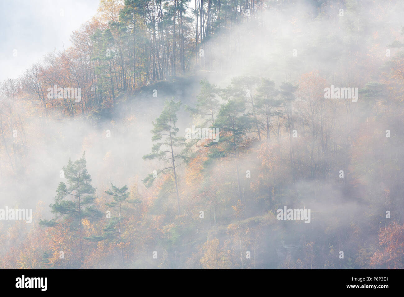 valley of Semois Stock Photo - Alamy
