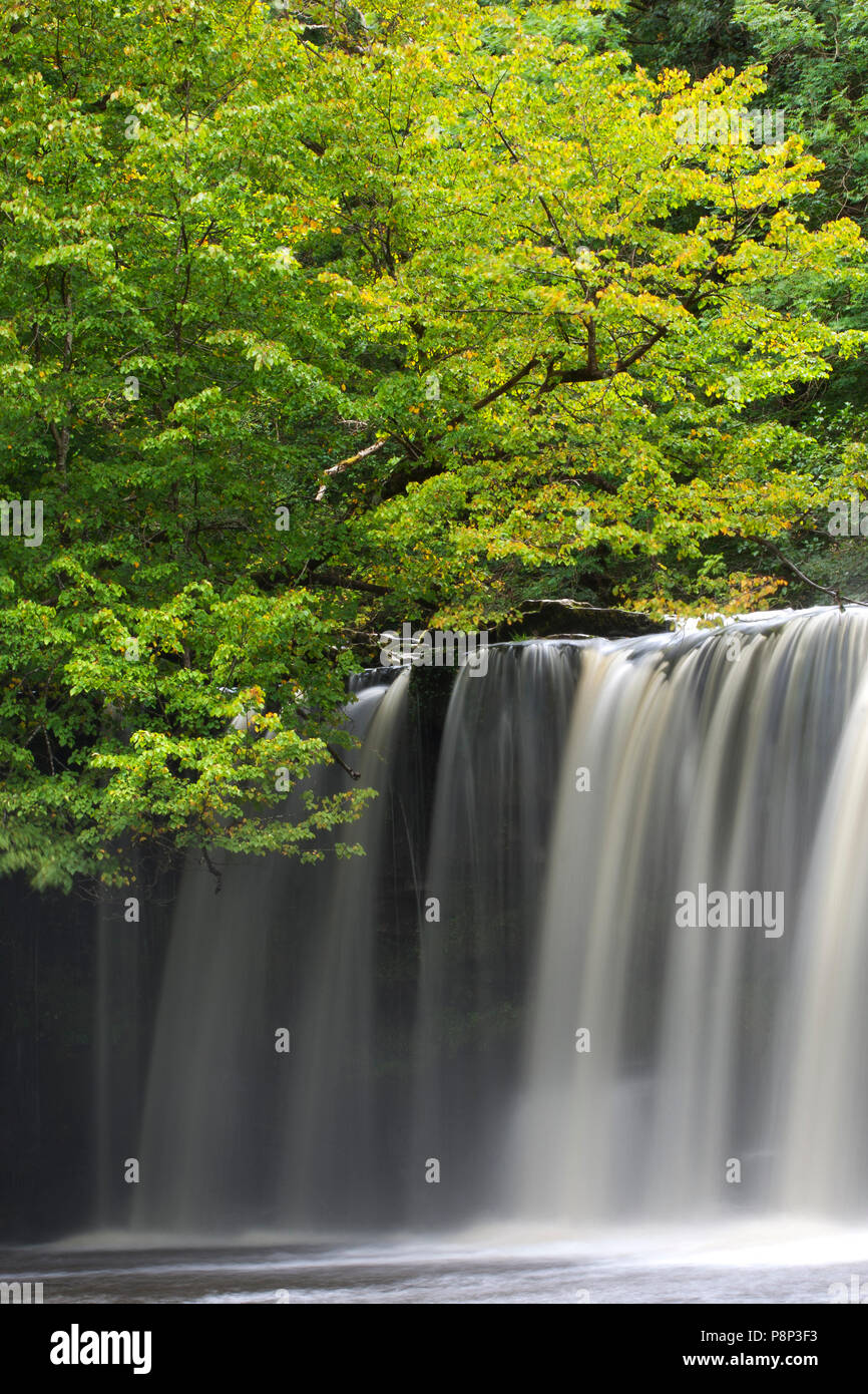 Brecon beacons forest hi-res stock photography and images - Alamy