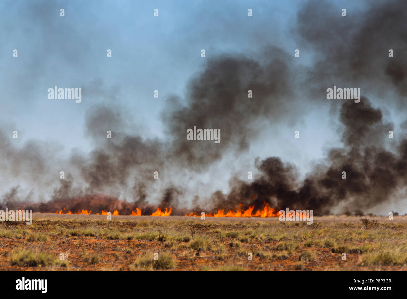 Bushfire burning in the Pilbara semi-desert Stock Photo - Alamy