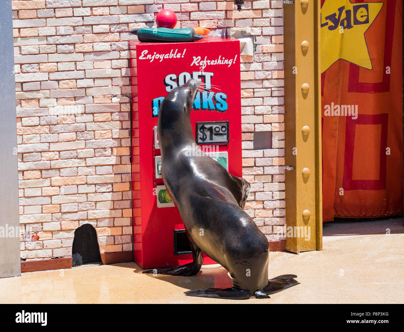 San Diego, JUN 27: Sea Lion and Otter Stadium show in the famous ...