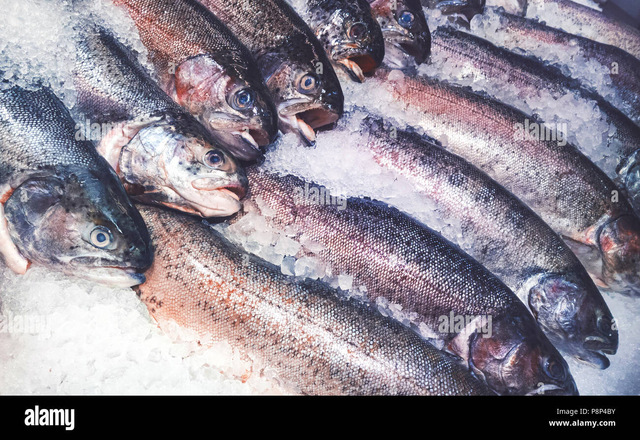 Speckled trout hi-res stock photography and images - Alamy