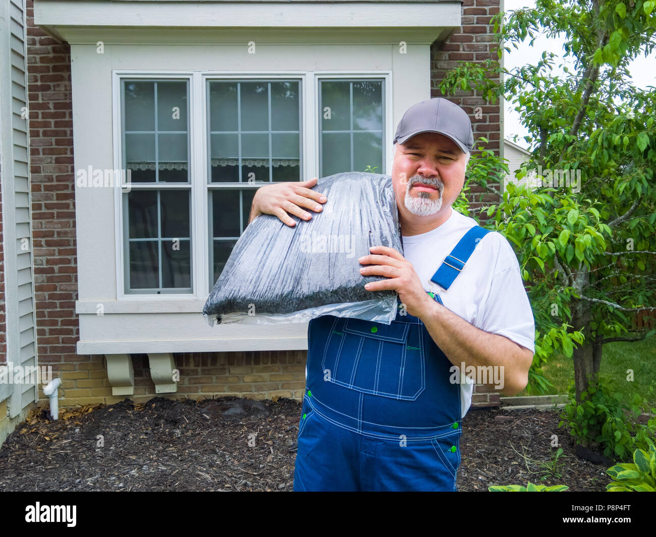 Workman or gardener ready to mulch the garden carrying a bag of mulch ...