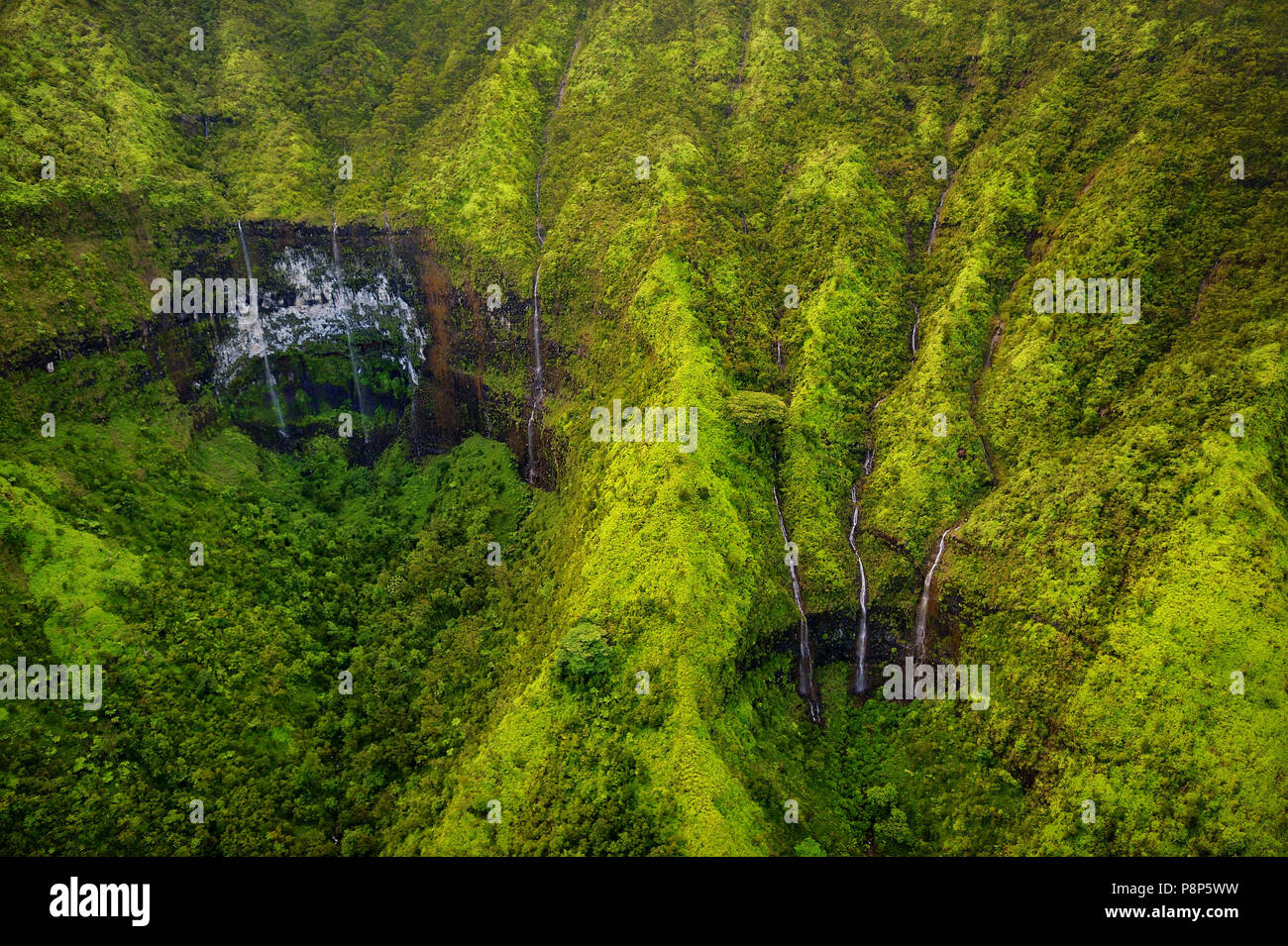 Mount Waialeale known as the wettest spot on Earth, Kauai, Hawaii Stock ...