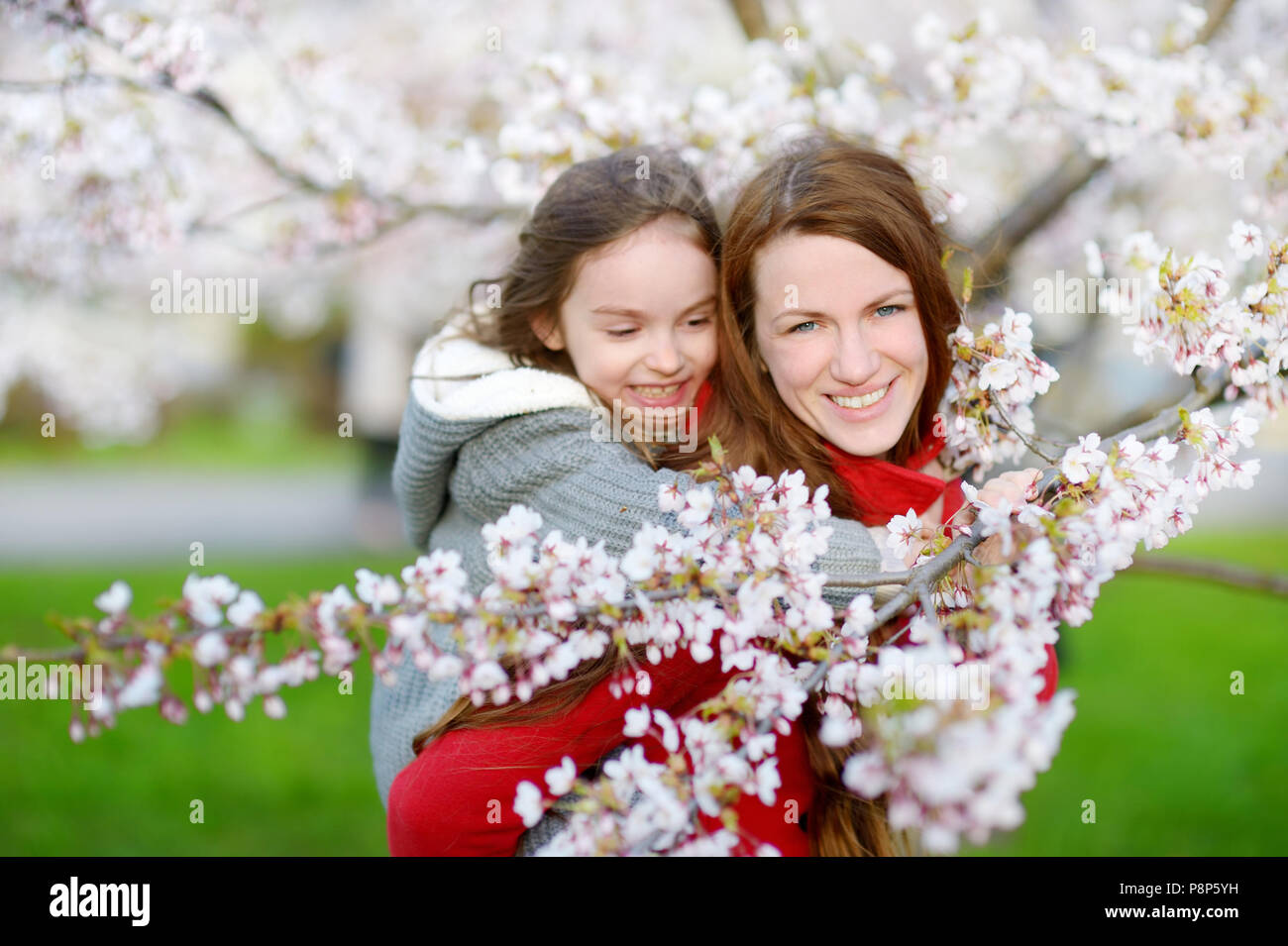 Young mother and her child in blooming cherry garden on beautiful ...
