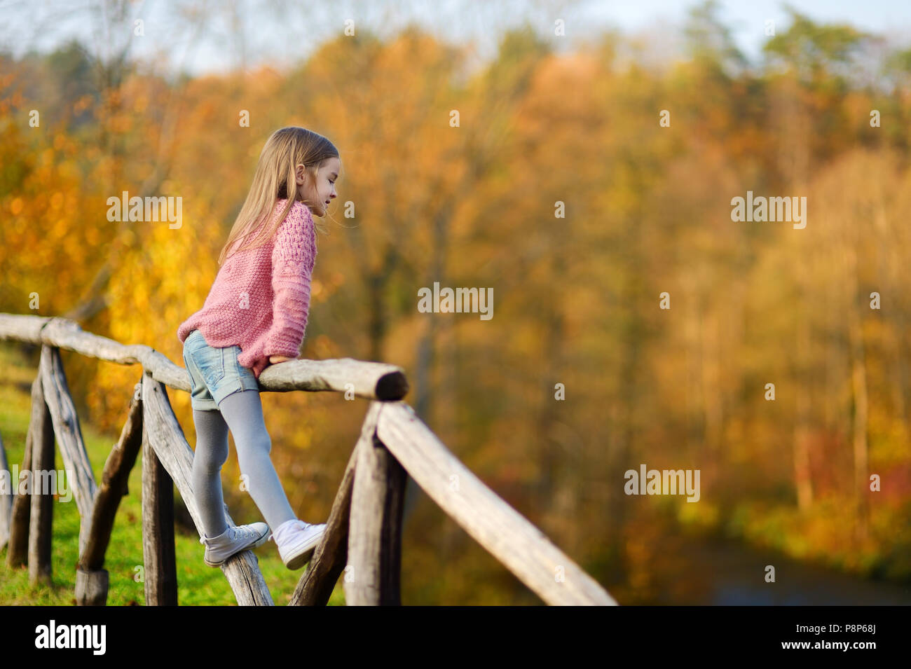 Portrait of a cute little girl on beautiful golden autumn day Stock ...