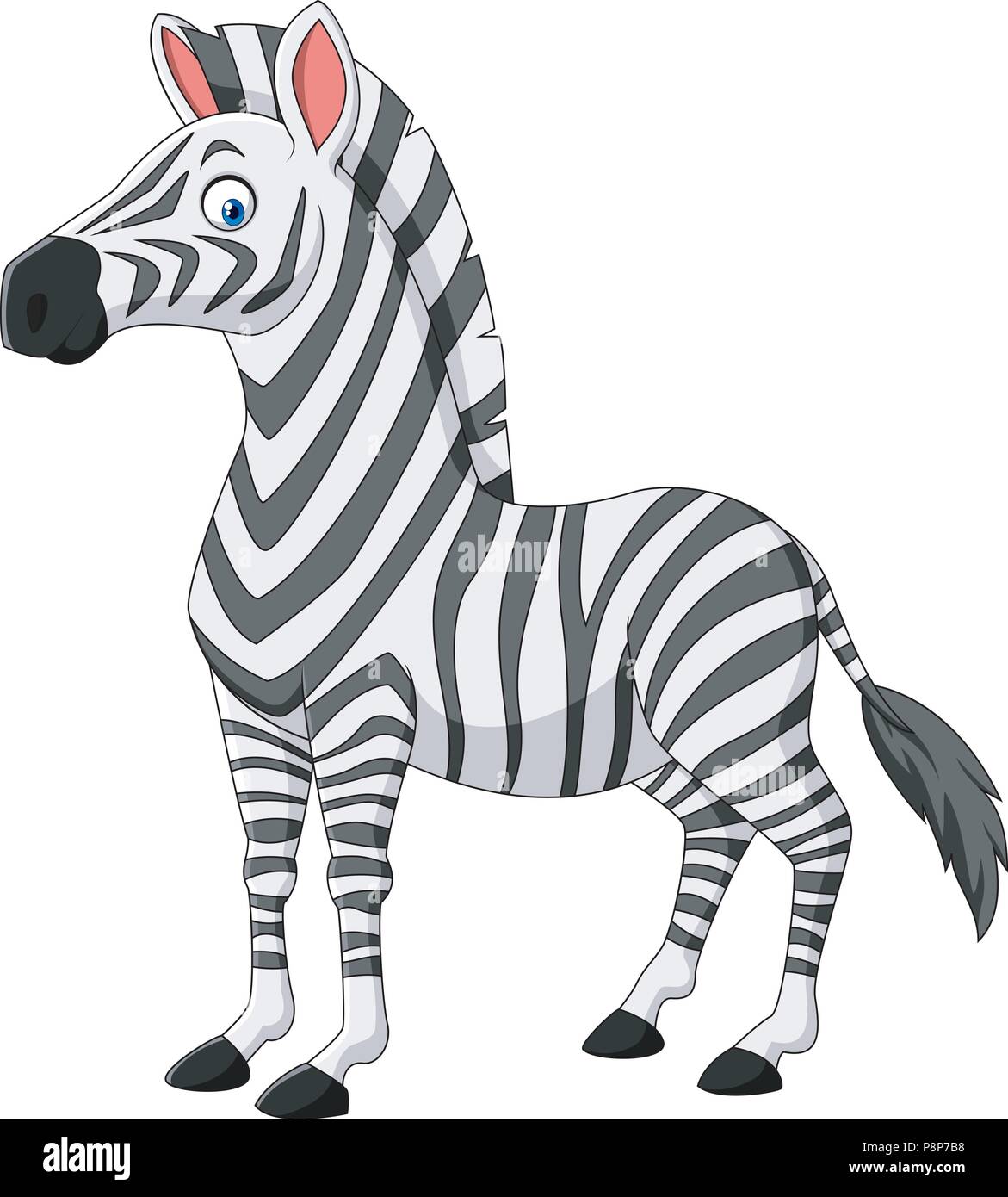 Cartoon zebra isolated on white background Stock Vector Image & Art - Alamy