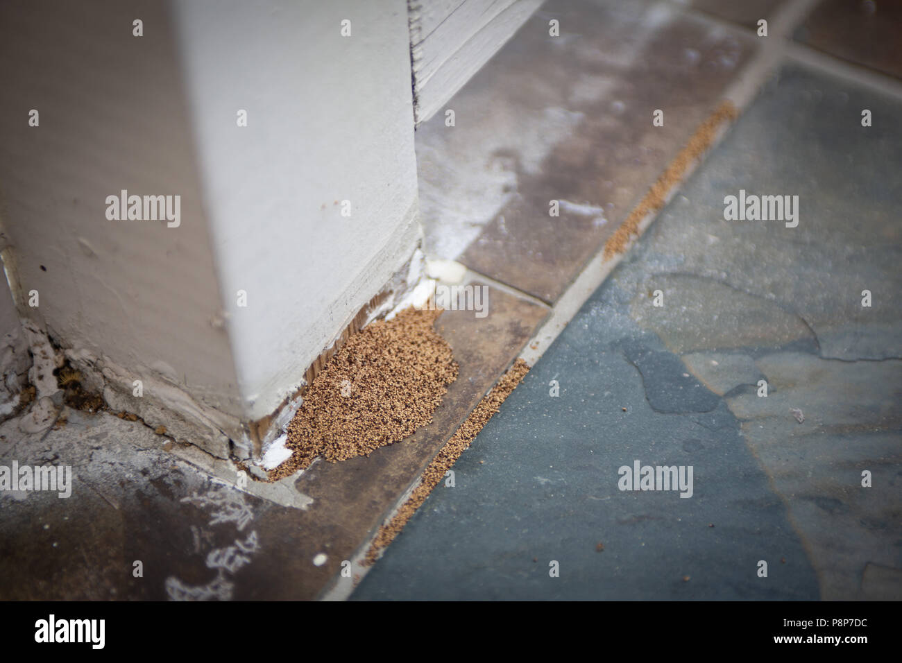 termite droppings at an outside banister Stock Photo - Alamy