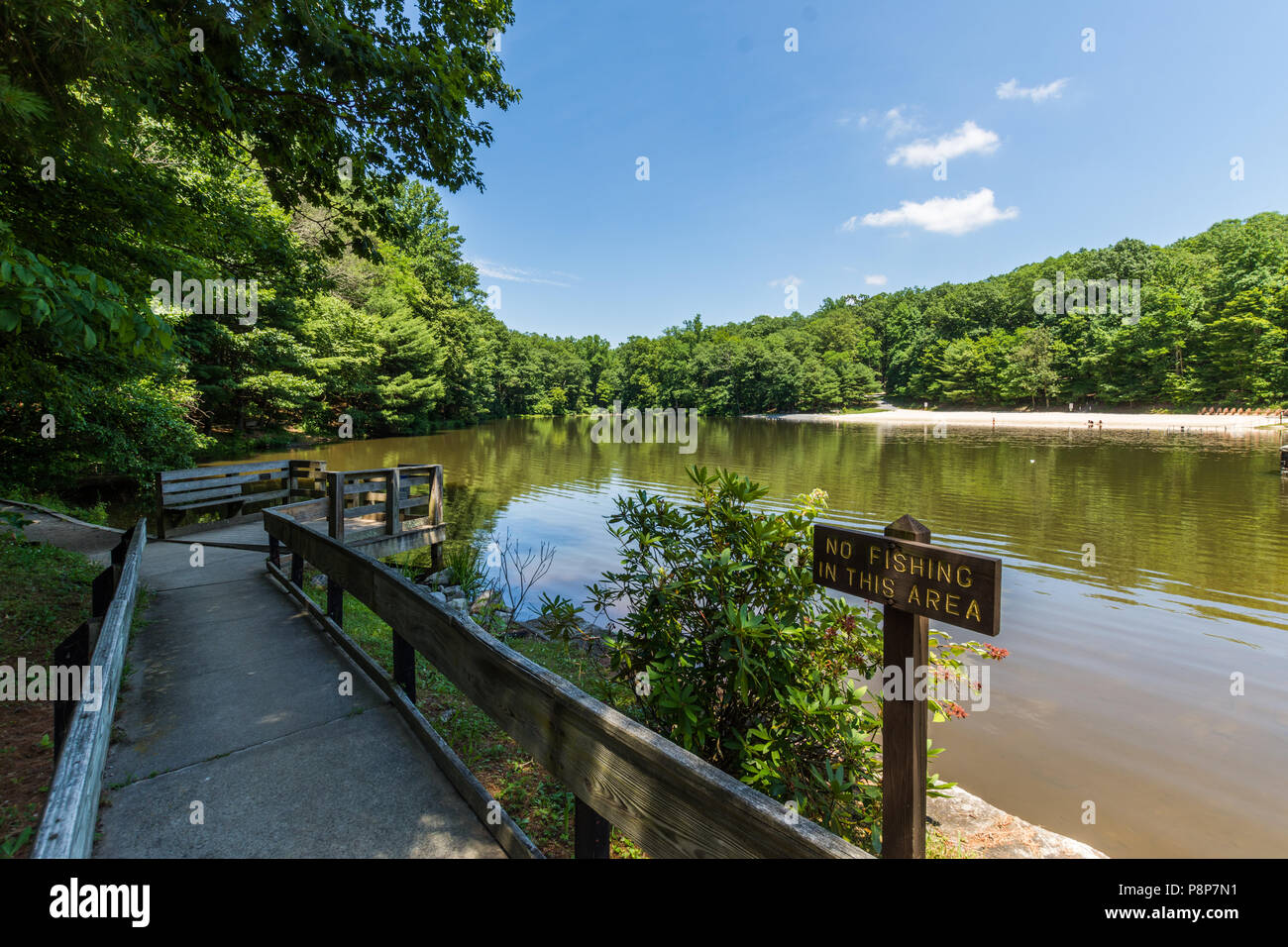 Landscape of the Swimming and Fishing Area in Colonel Denning State ...