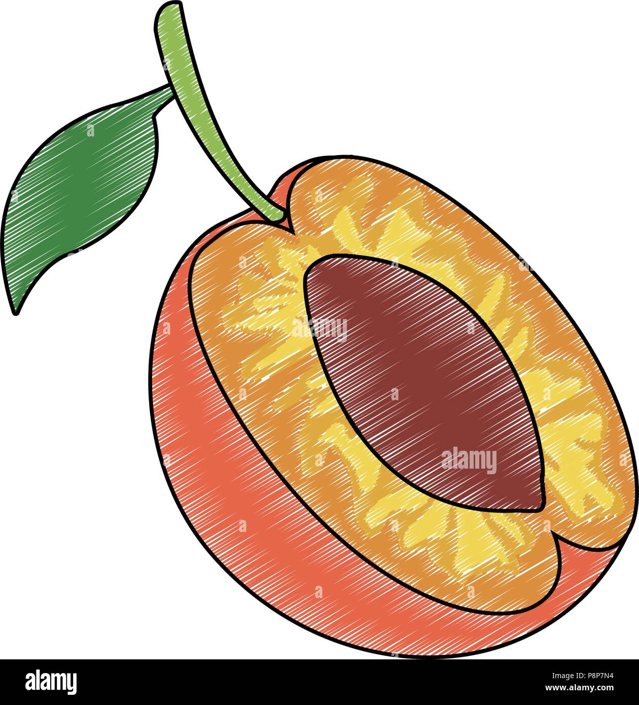 Peach fruit isolated scribble Stock Vector Image & Art - Alamy