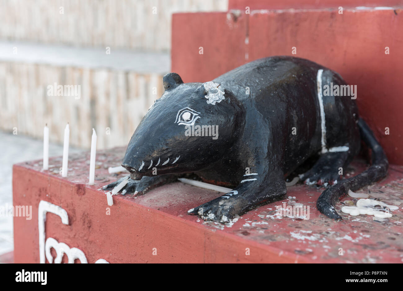 Buddhist rat hi-res stock photography and images - Alamy