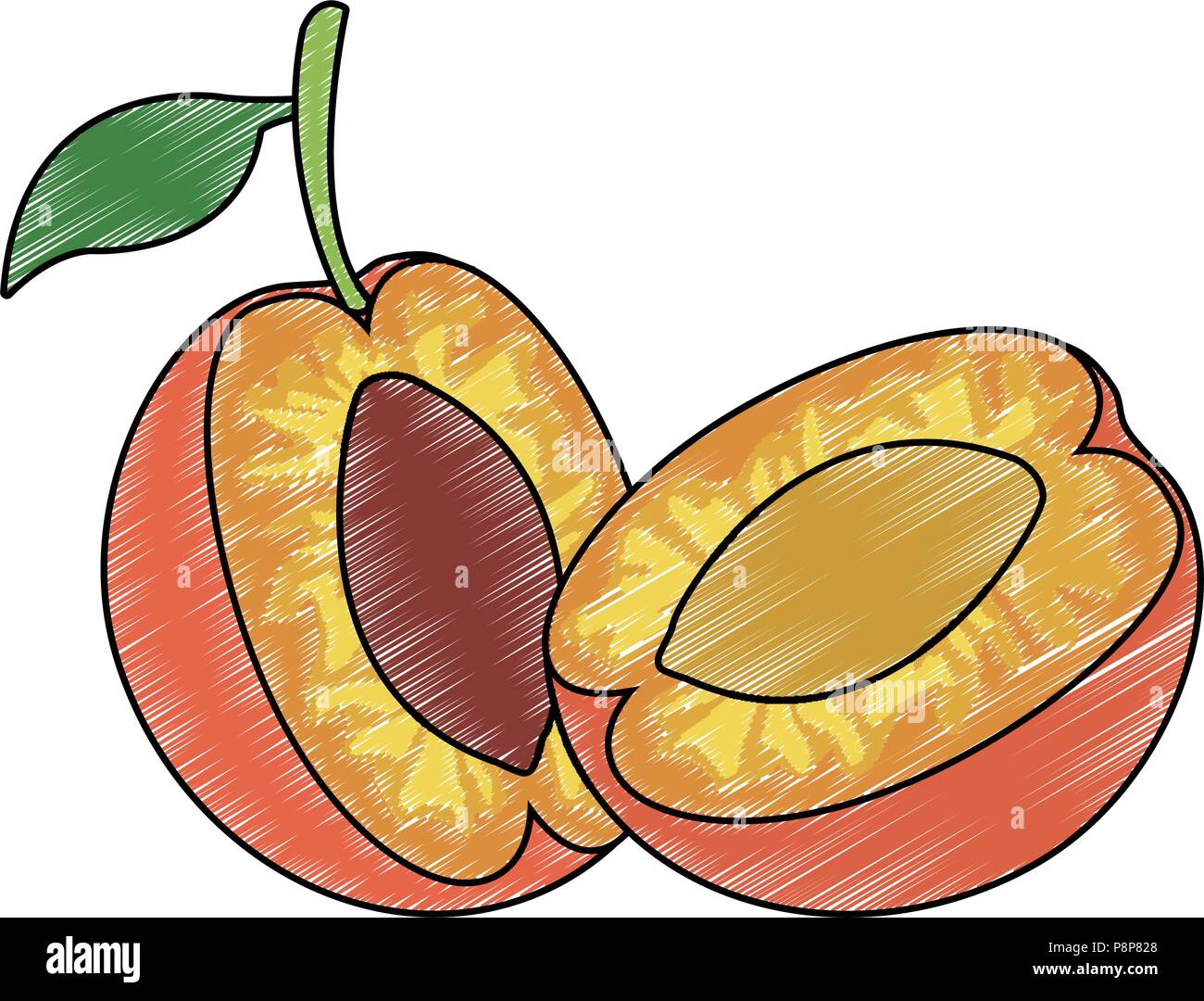 Peach fruit isolated scribble Stock Vector Image & Art - Alamy