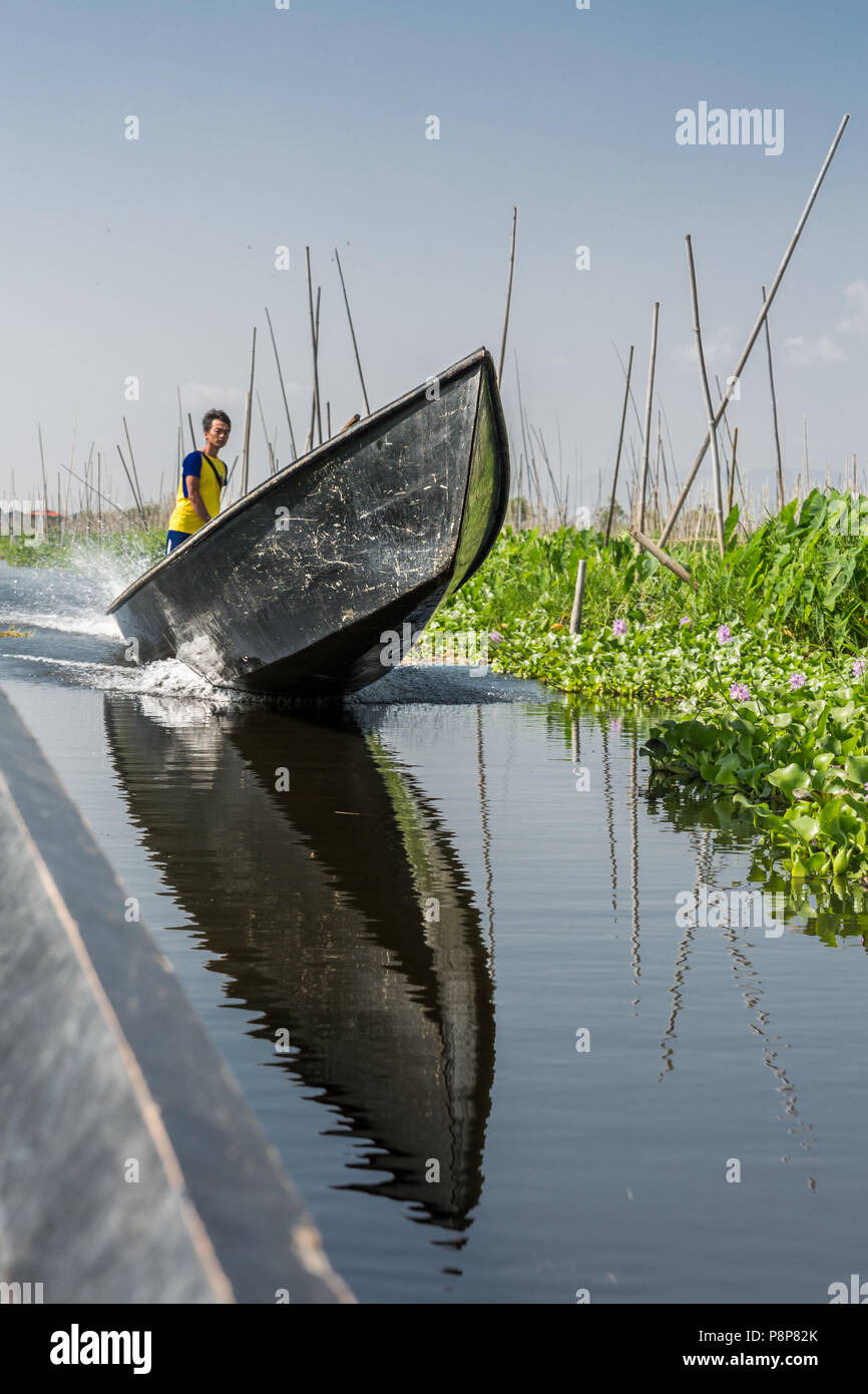 Fast boat through Floating Gardens, Lake Inle, Myanmar (Burma Stock ...