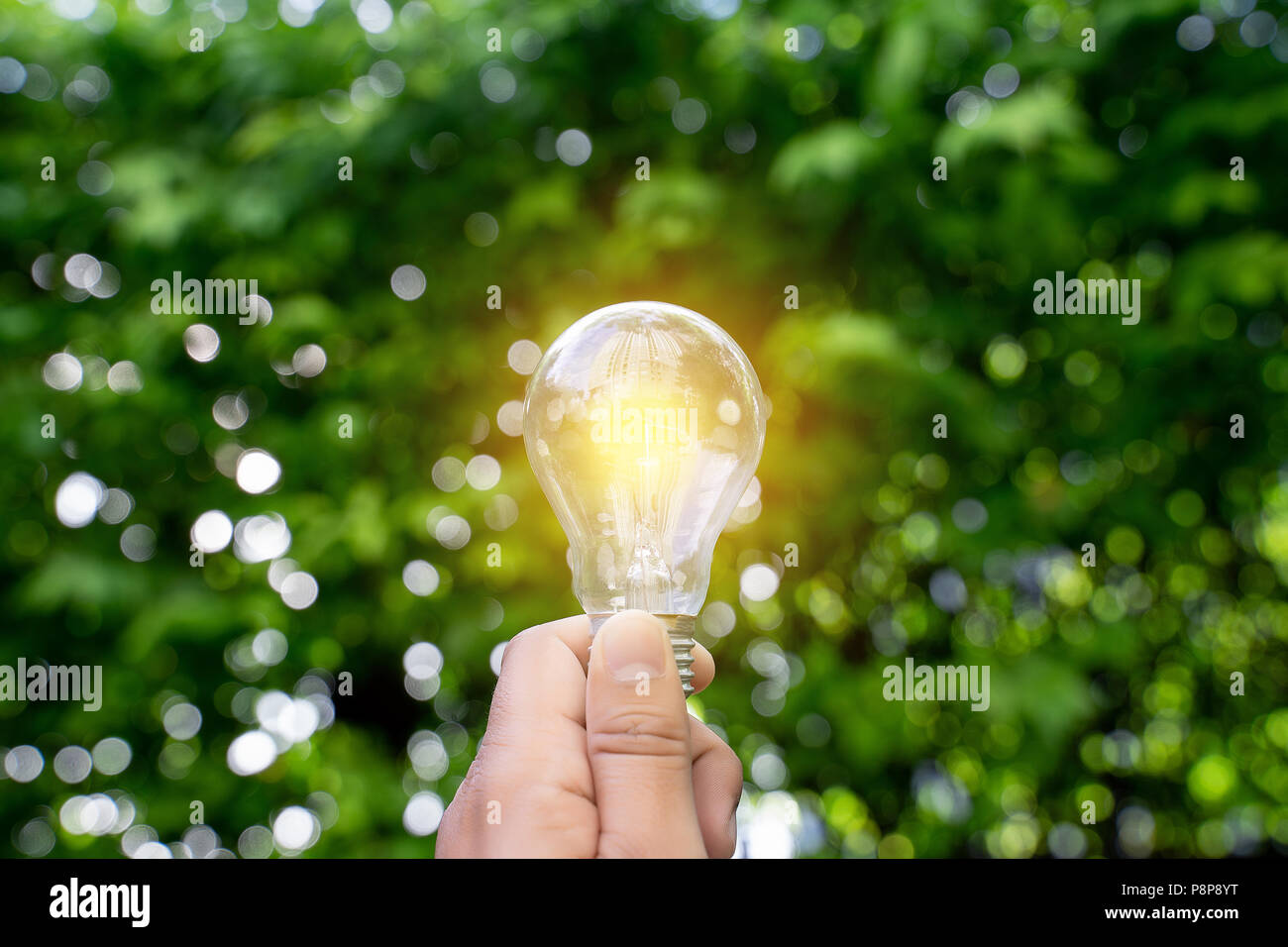 green energy concept energy sources sustainable Ecology Elements Stock ...