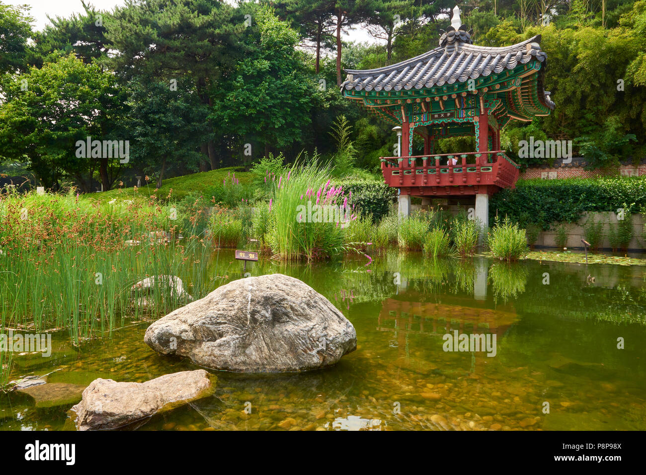 Seoul world cup stadium hi-res stock photography and images - Alamy
