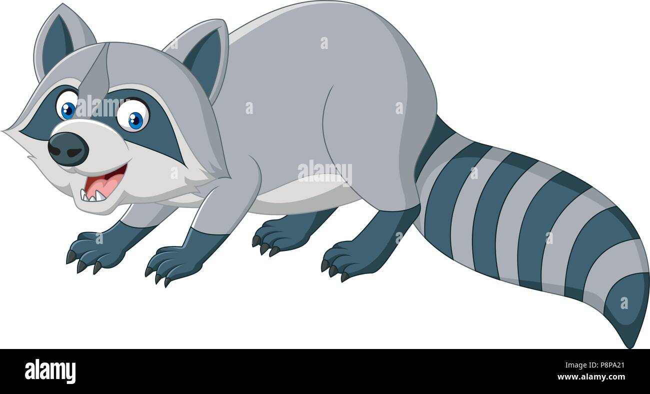 Cartoon funny raccoon Stock Vector Image & Art - Alamy