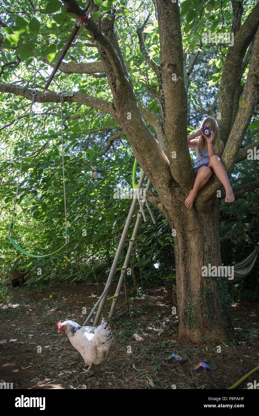 GIRL IN A TREE Stock Photo - Alamy