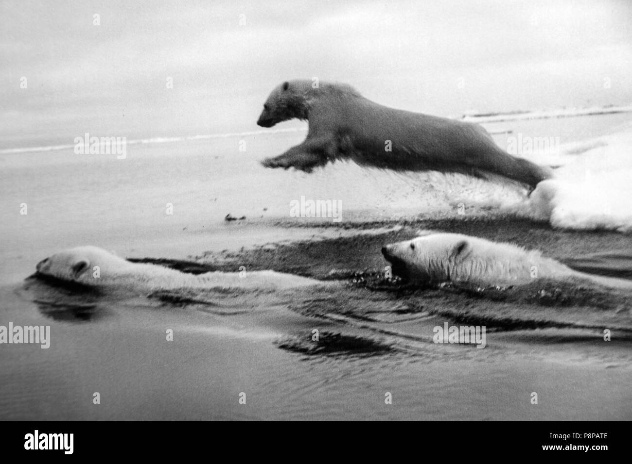 Norway around Black and White Stock Photos & Images - Alamy