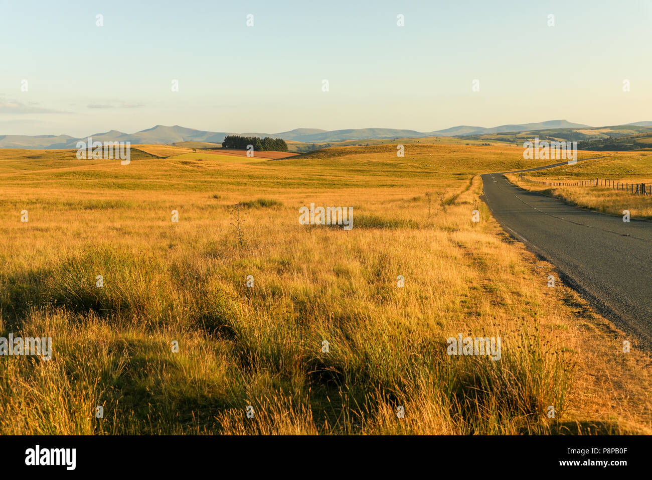 Mynydd epynt hi-res stock photography and images - Alamy