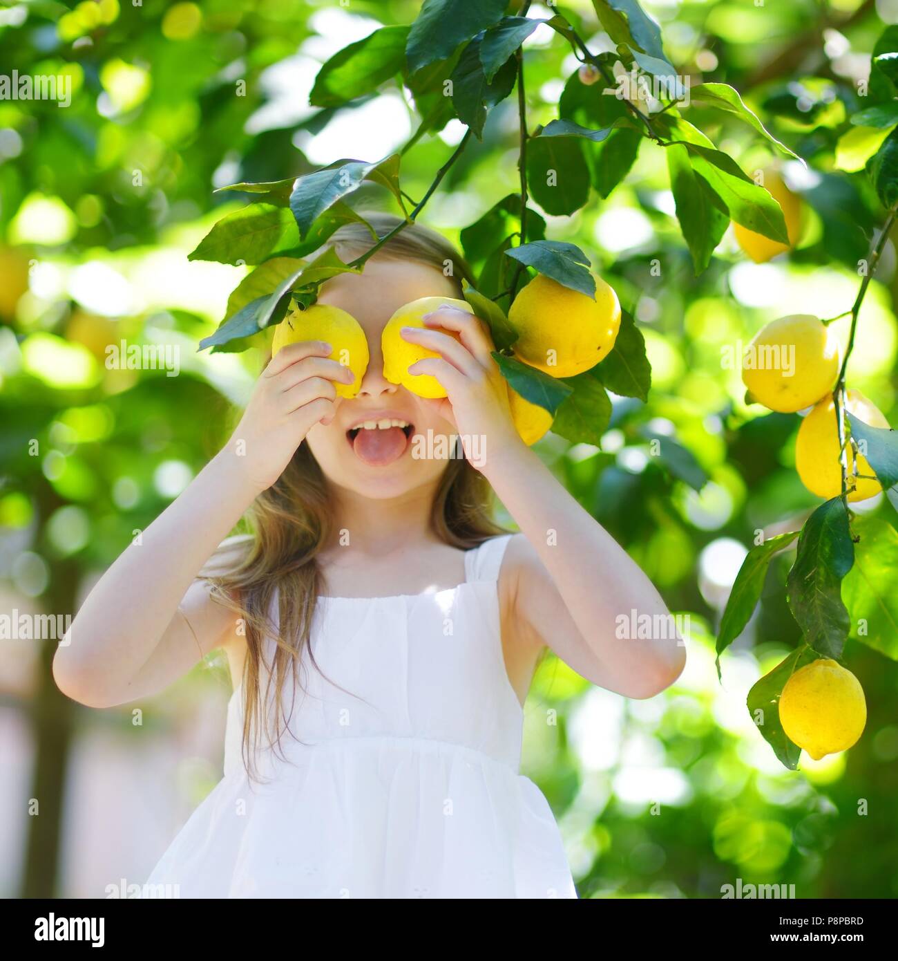 Lemon tree and girl hi-res stock photography and images - Alamy