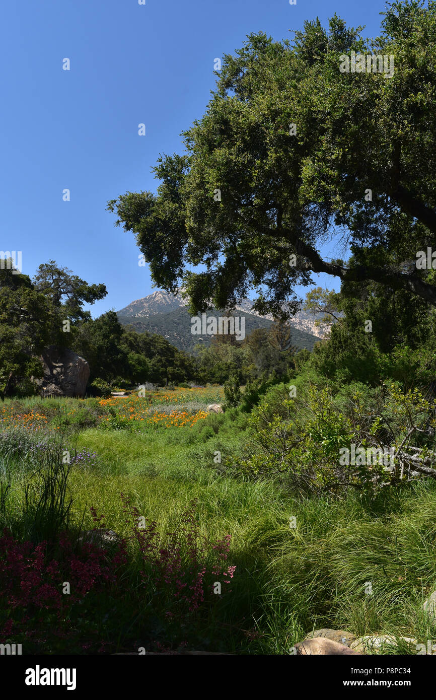 Mountains and meadows in this beautiful California landscape Stock ...