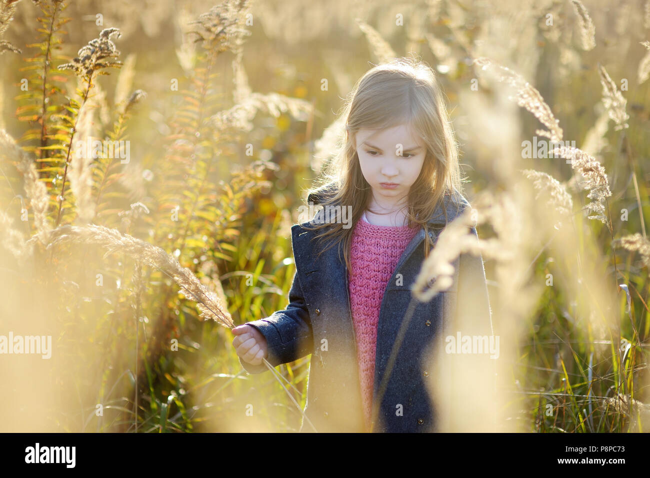 Portrait of a cute little girl on beautiful golden autumn day Stock ...