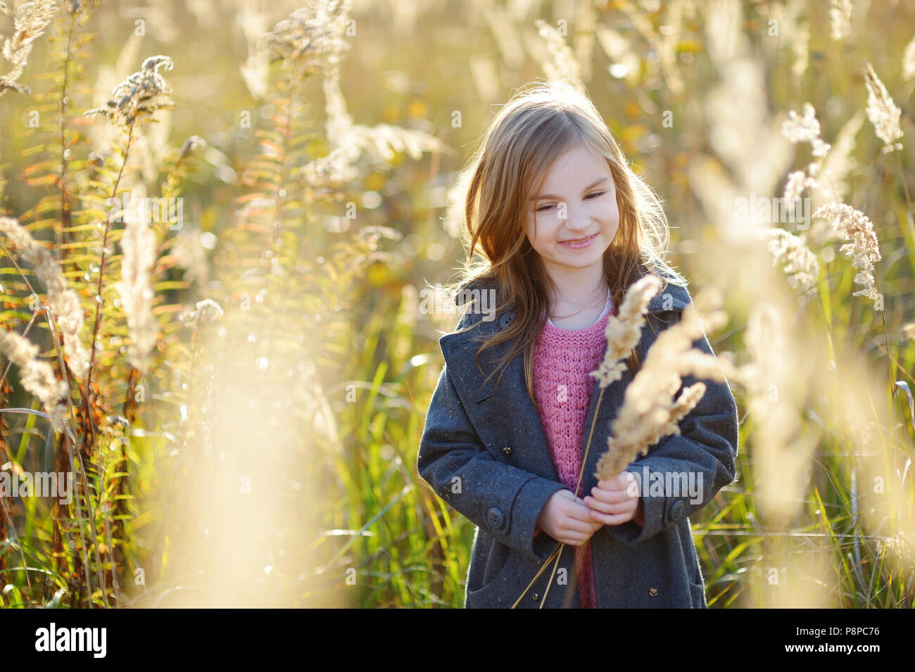 Portrait of a cute little girl on beautiful golden autumn day Stock ...
