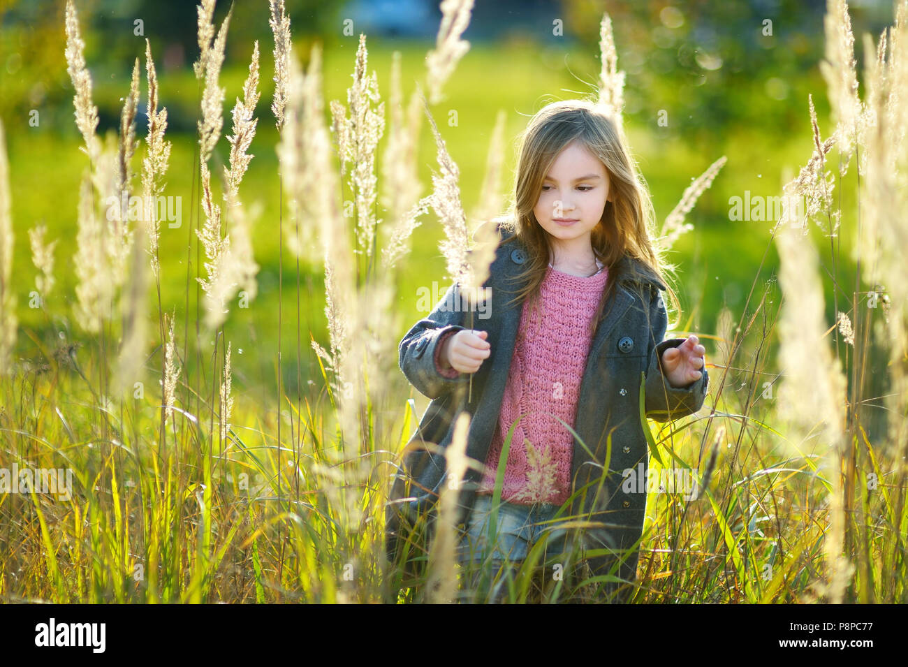 Portrait of a cute little girl on beautiful golden autumn day Stock ...