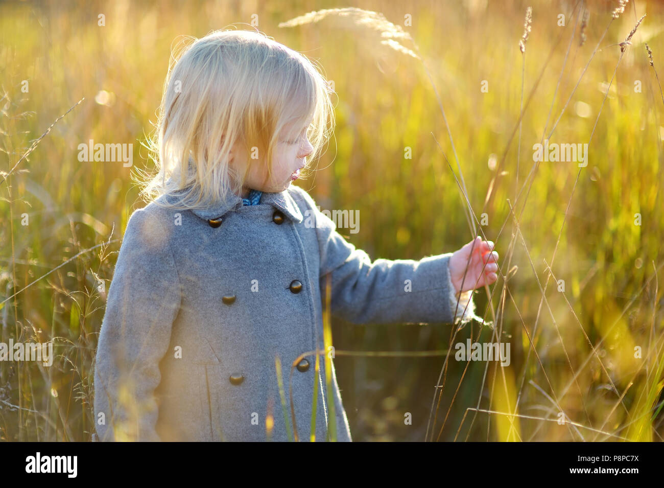 Portrait of a cute little girl on beautiful golden autumn day Stock ...