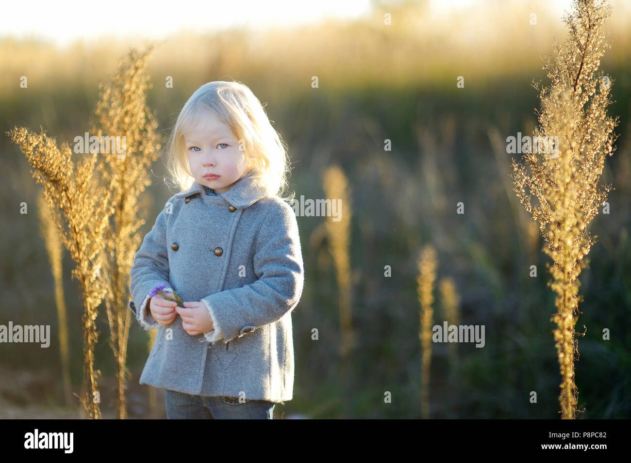 Portrait of a cute little girl on beautiful golden autumn day Stock ...