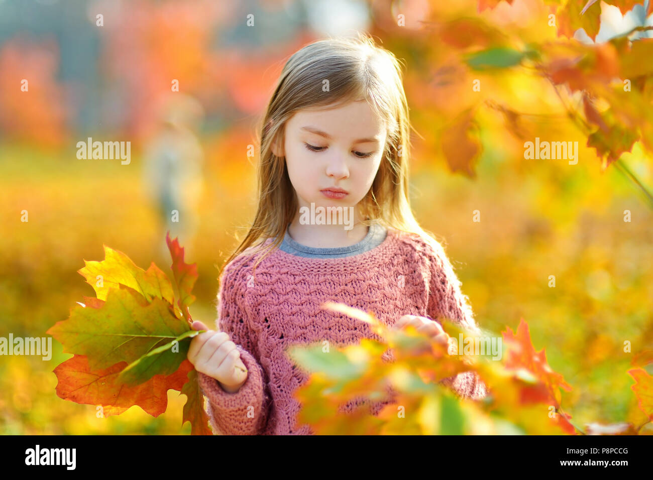 Portrait of a cute little girl on beautiful golden autumn day Stock ...