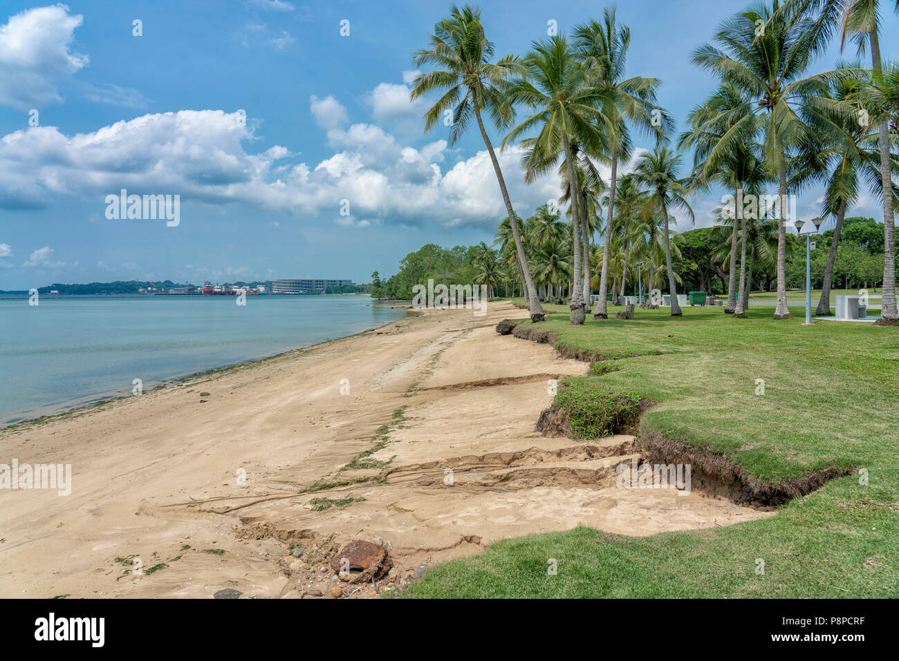 Singapore - July 8,2018: Pasir Ris Park . Tropical beach in park. Pasir ...
