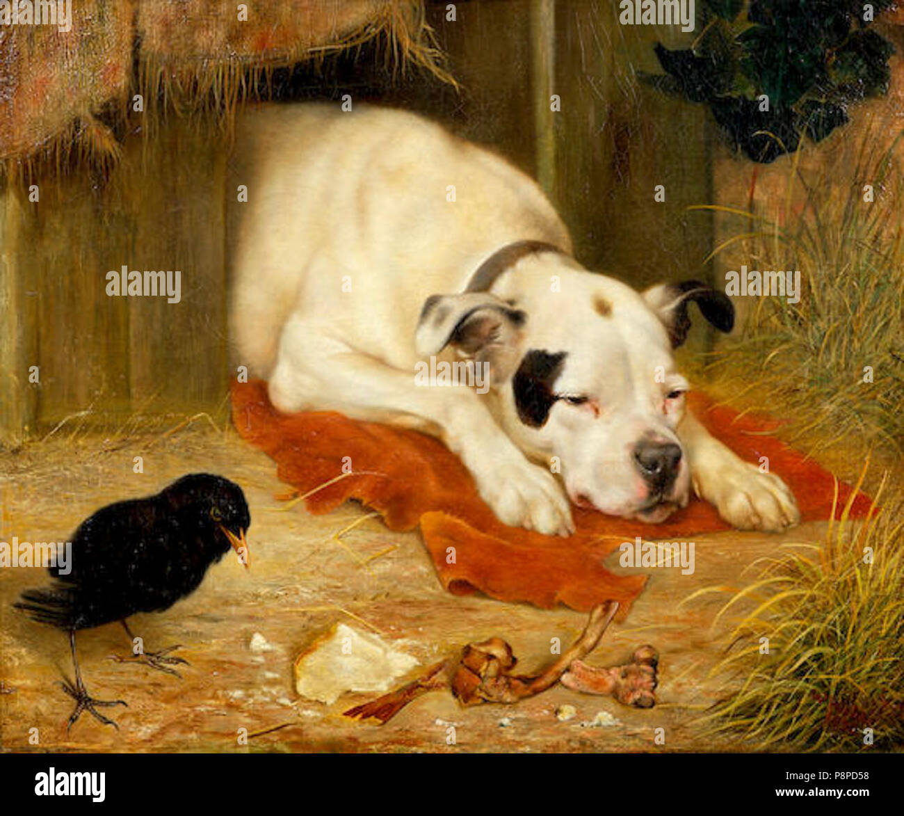 Bone of contention hi-res stock photography and images - Alamy