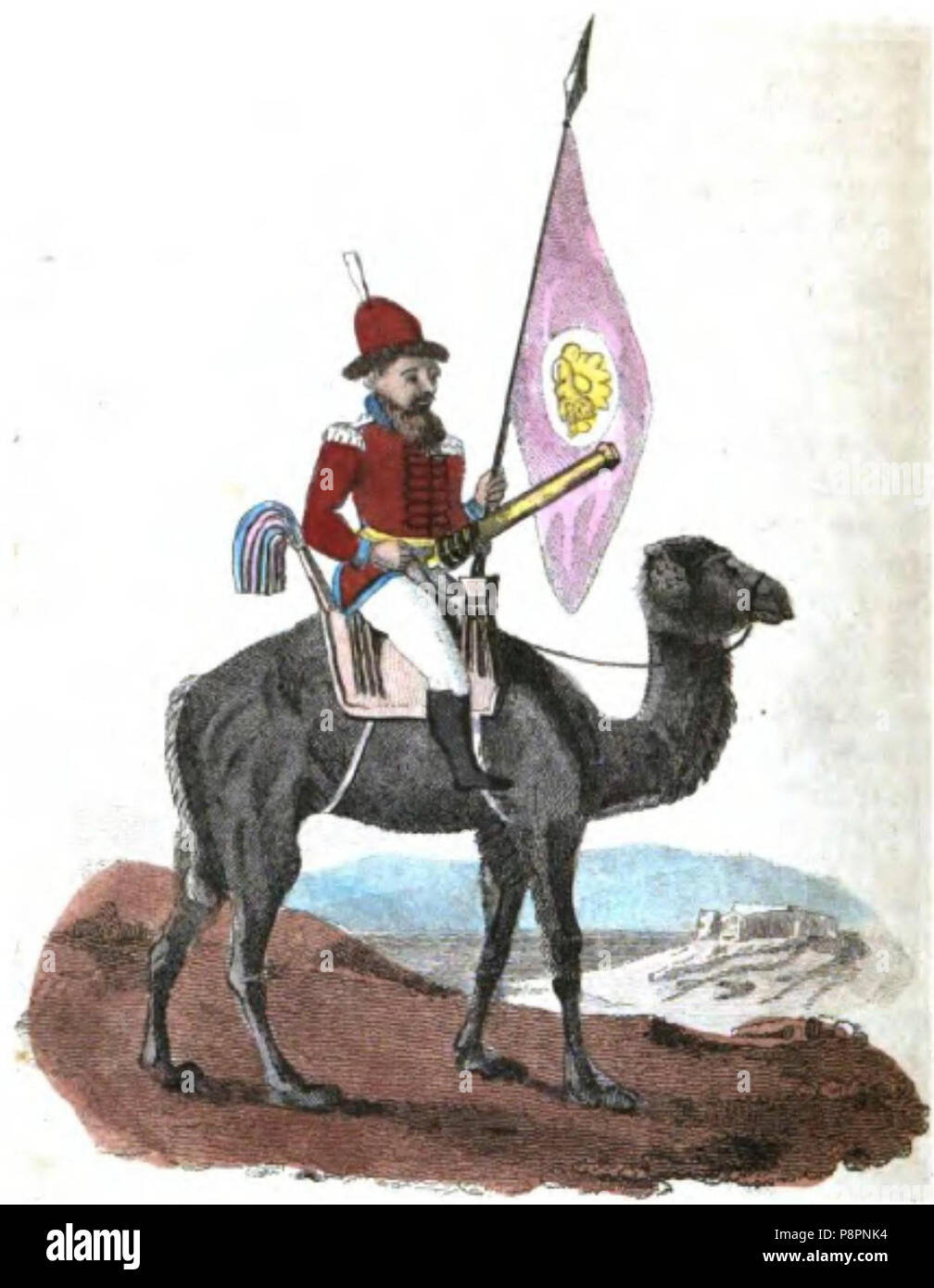 Combat camel hi-res stock photography and images - Alamy