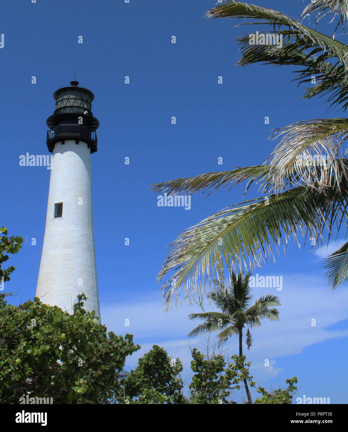 Cape Florida Lighthouse, Key Biscayne in July Stock Photo - Alamy