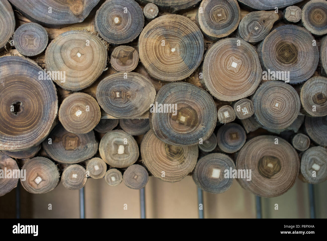 Wood Log cut in round thin pieces in view Stock Photo - Alamy