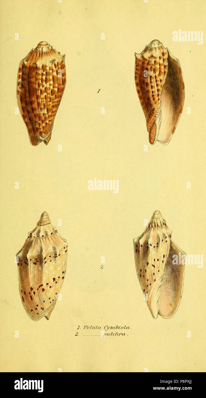 Tankerville earl of hi-res stock photography and images - Alamy