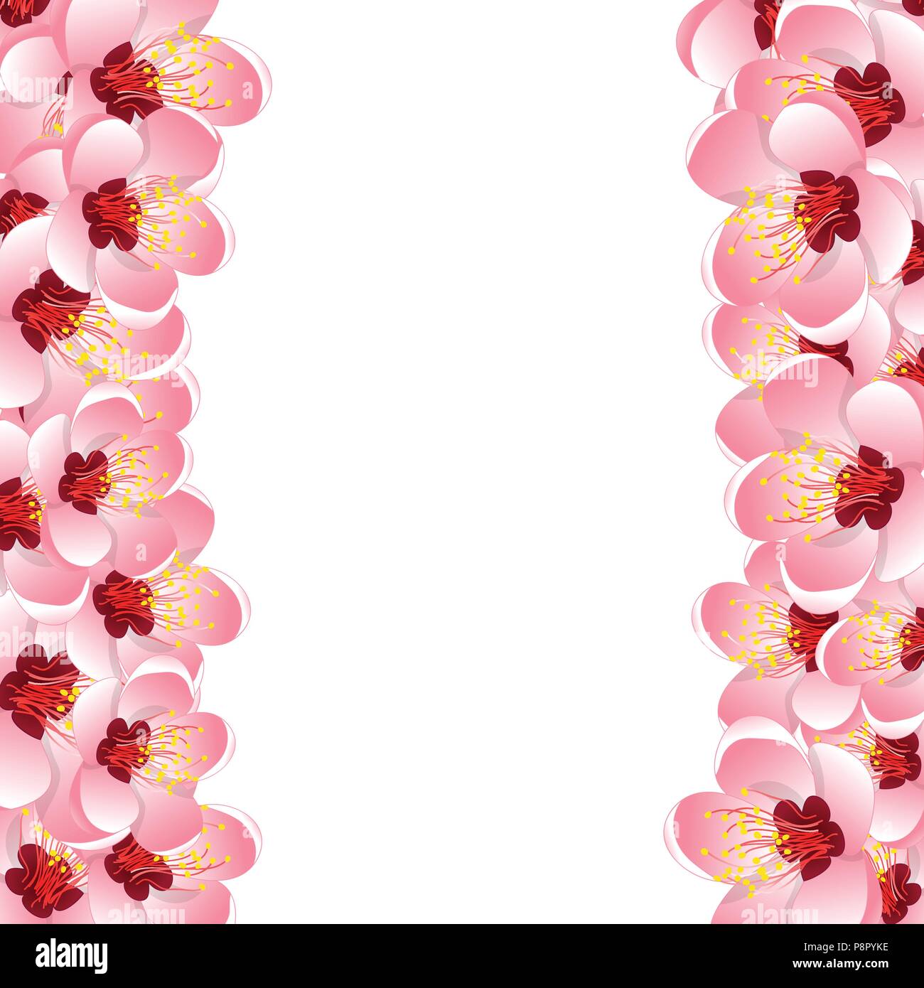 Momo Peach Flower Blossom Border Background. Vector Illustration Stock ...