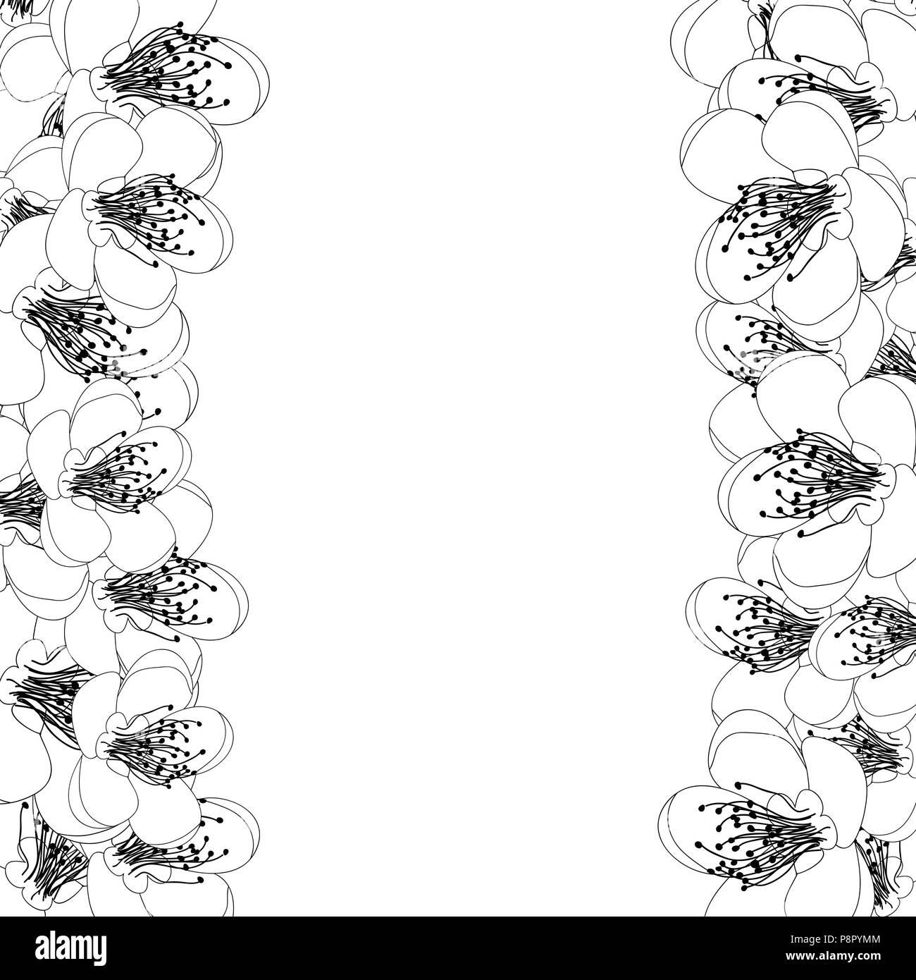 Momo Peach Flower Blossom Border Outline. Vector Illustration Stock ...