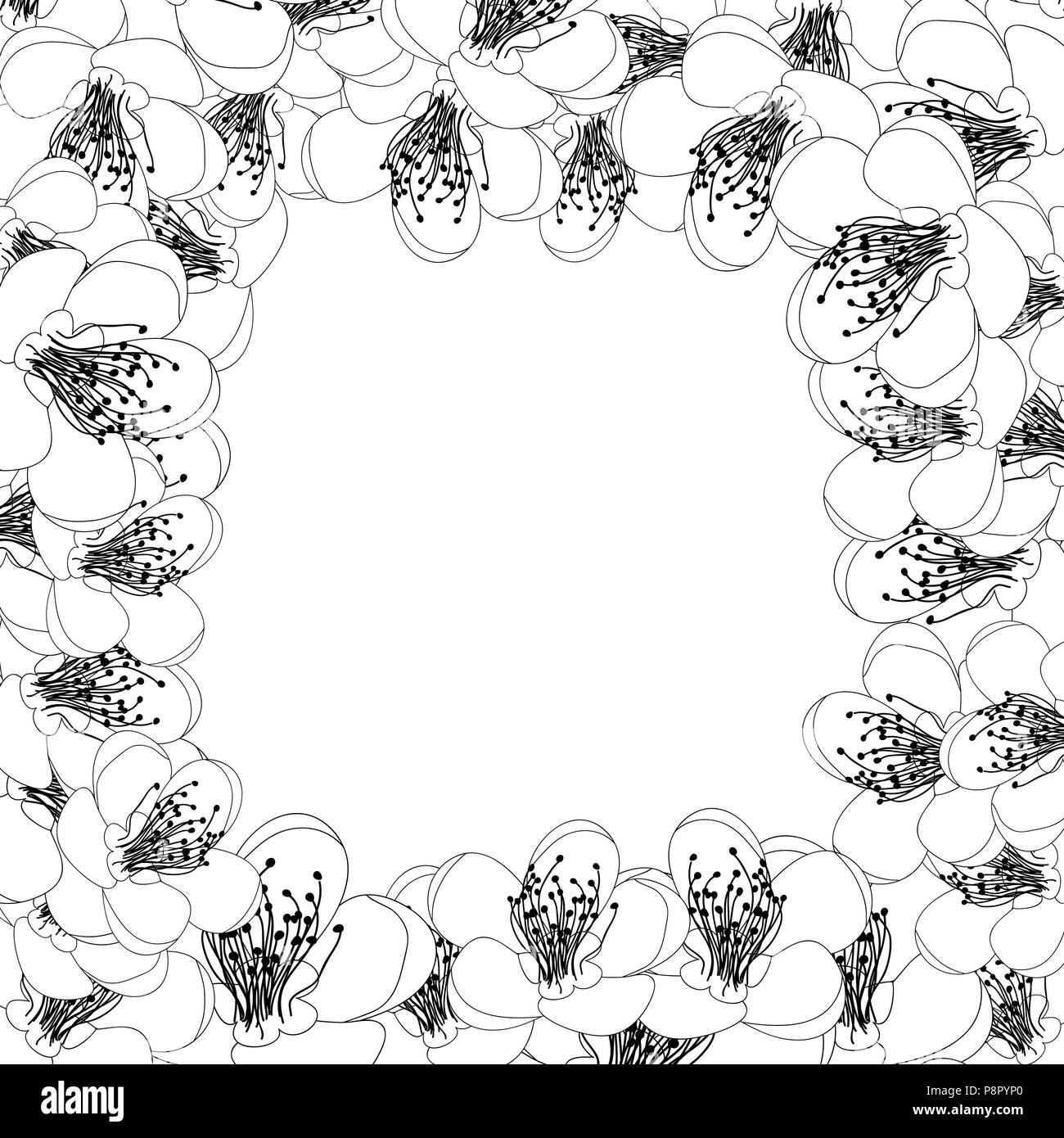 Momo Peach Flower Blossom Border Outline. Vector Illustration Stock ...