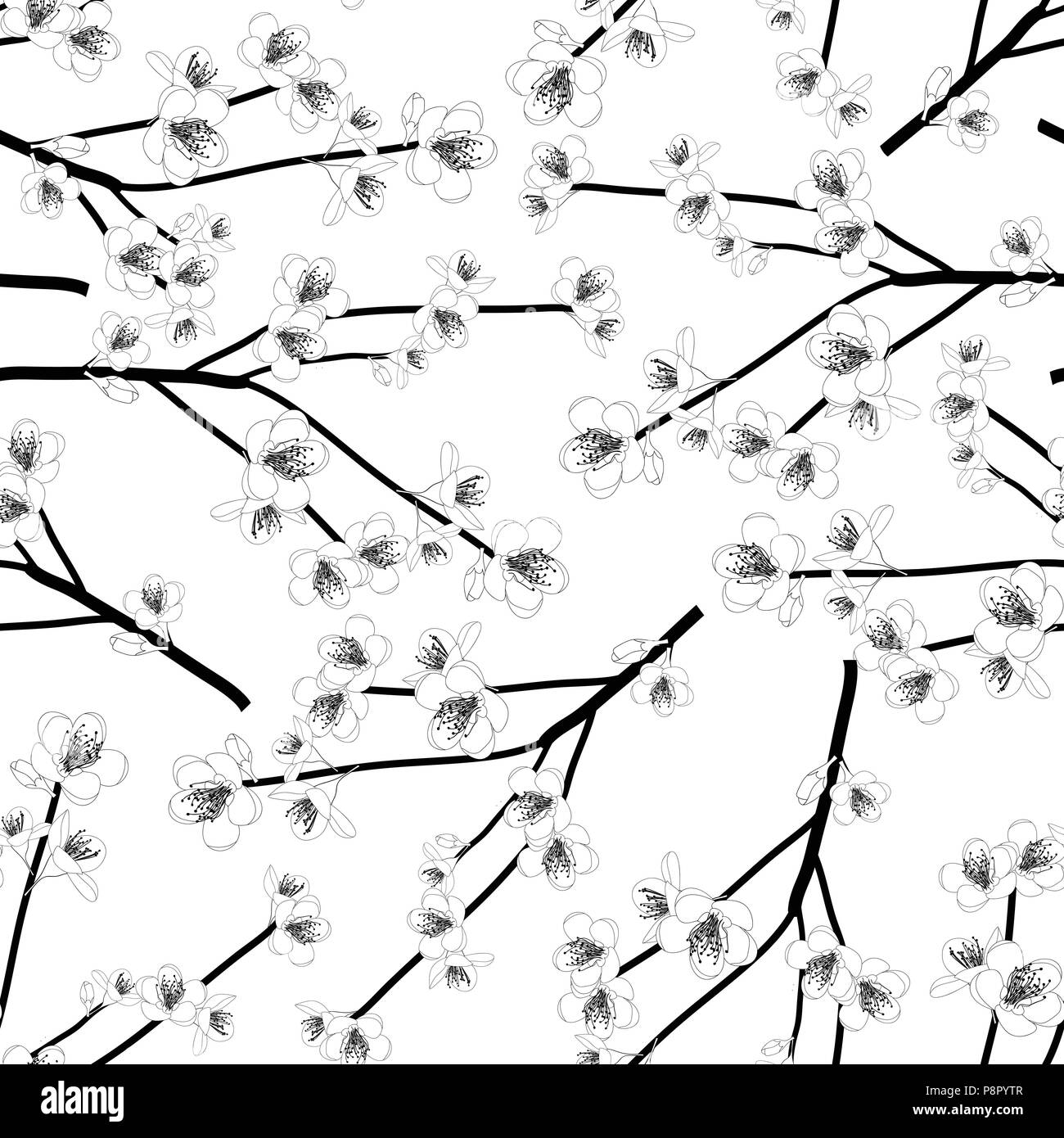 Momo Peach Flower Blossom Outline Seamless on White Background. Vector ...