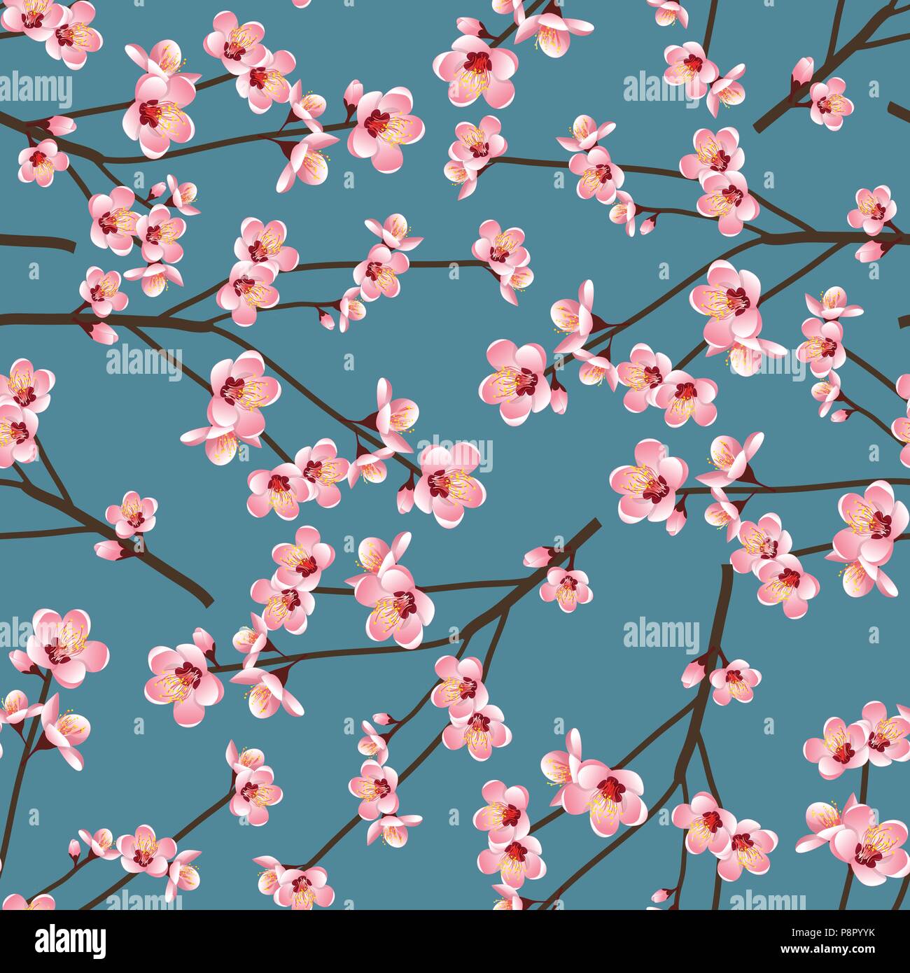 Momo Peach Flower Blossom Seamless on Blue Background. Vector ...