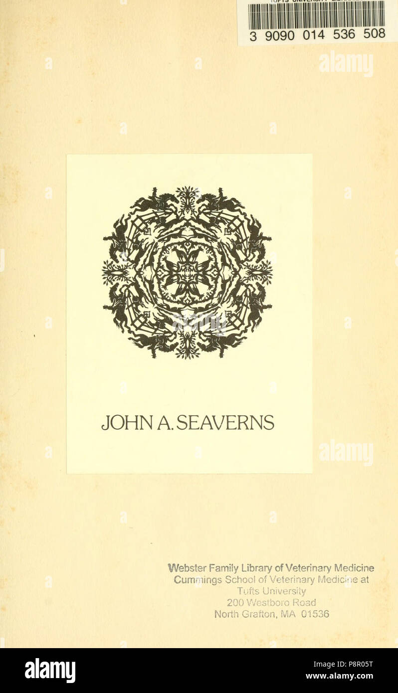 A century of English fox-hunting Stock Photo - Alamy