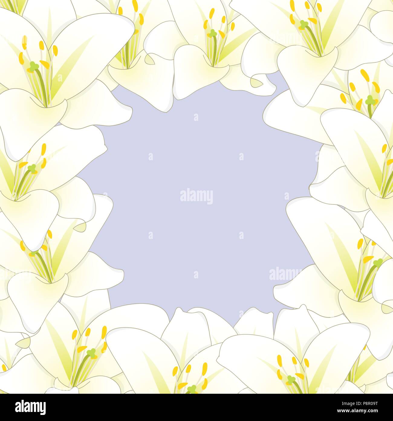 White Lily Flower Border isolated on Purple Background. Vector ...