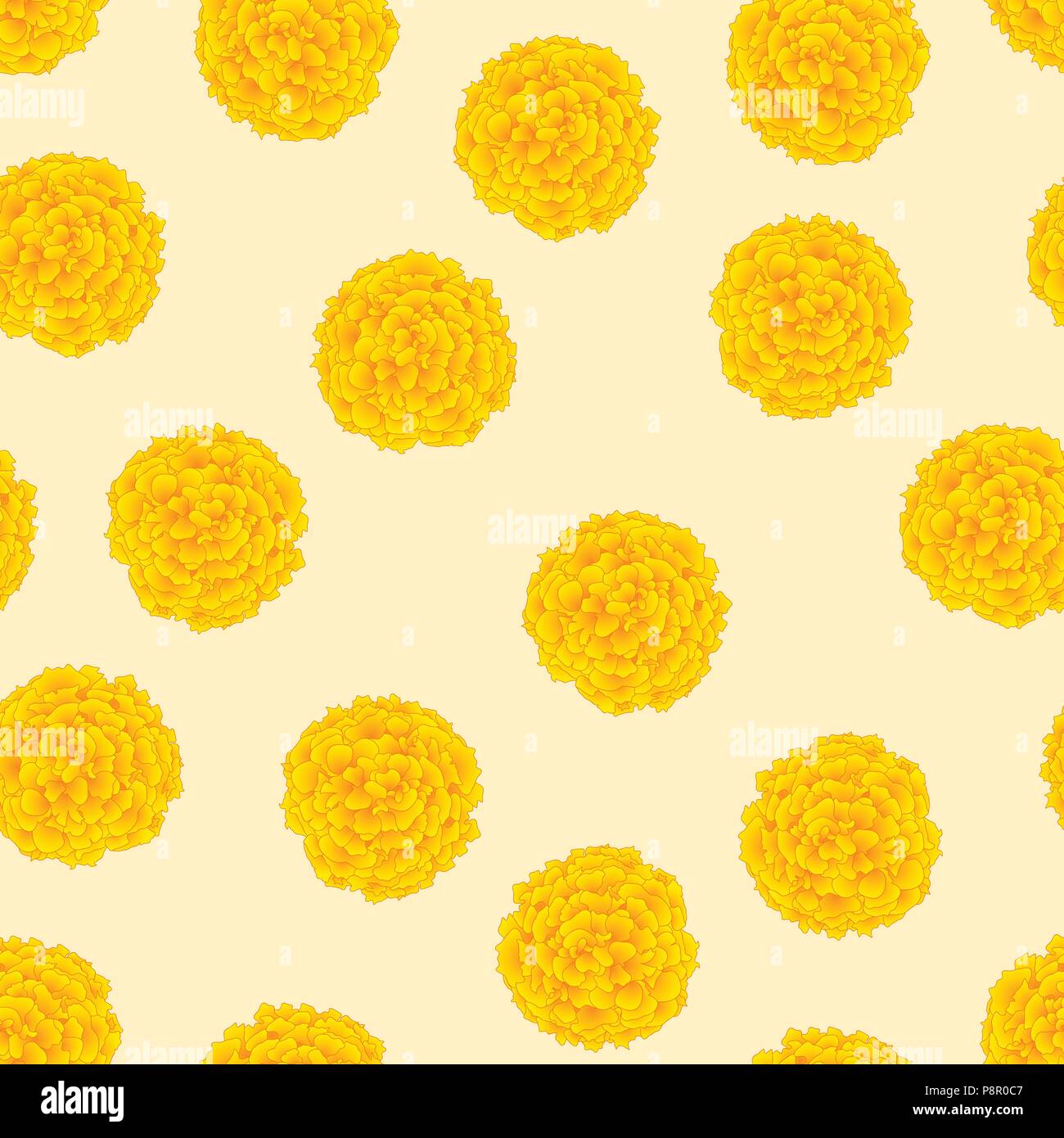 Yellow Marigold On Ivory Beige Background. Vector Illustration Stock ...