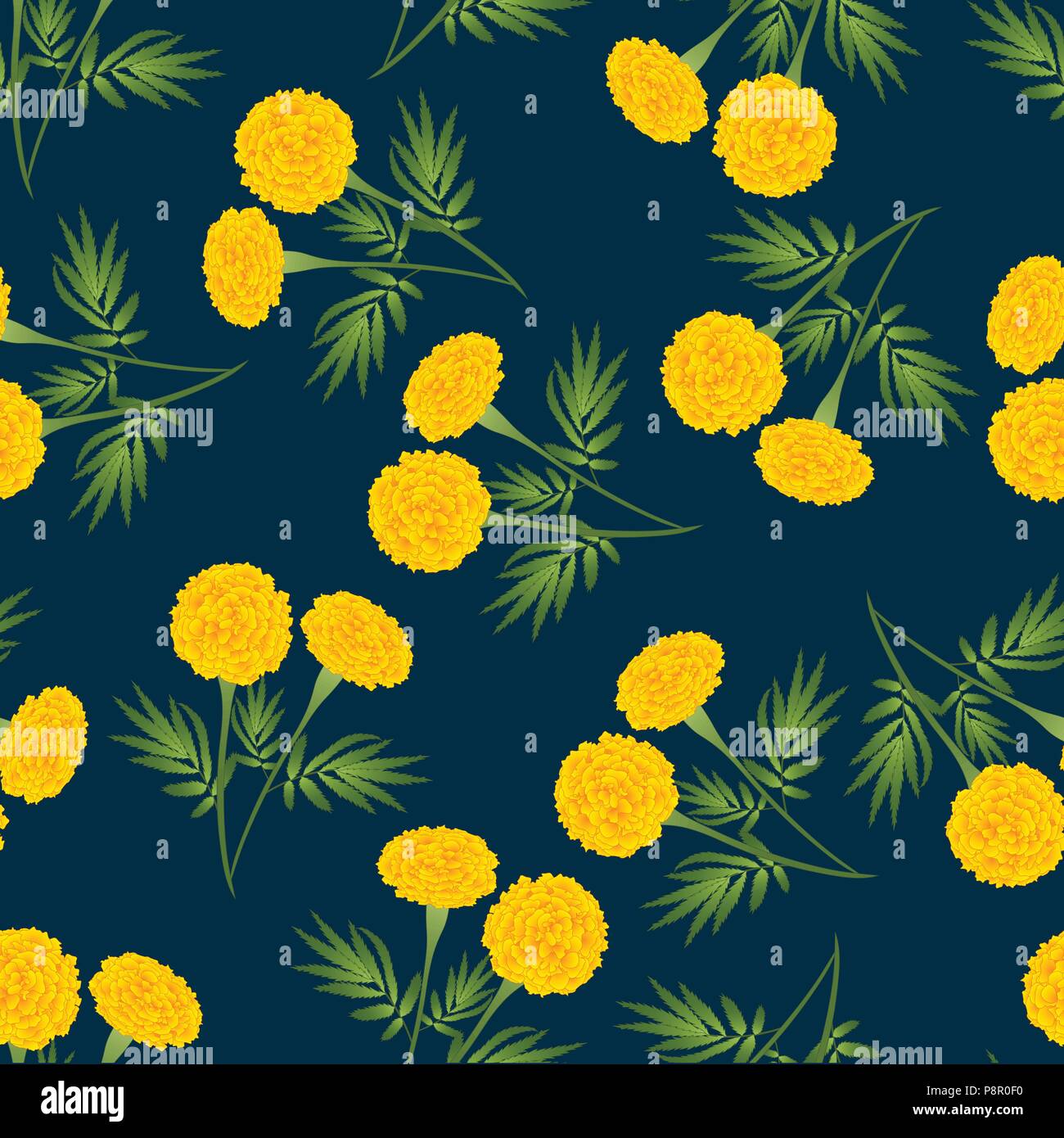 Marigold flower abstract background Stock Vector Images - Alamy