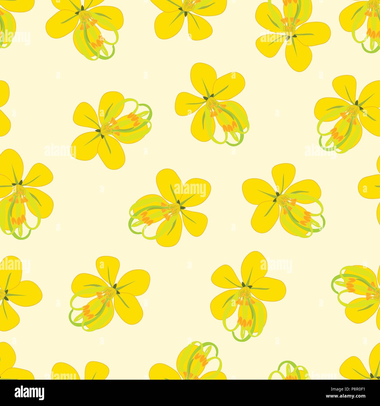 Cassia Fistula - Golden Shower Flower on Beige Ivory Background. Vector Illustration Stock ...