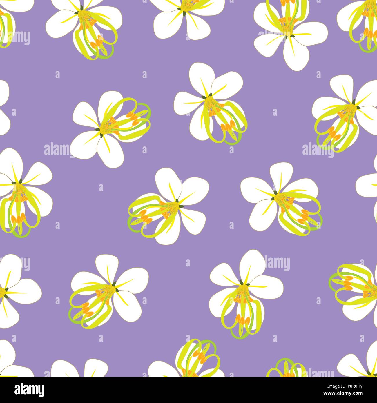 Cassia fistula background Stock Vector Images - Alamy
