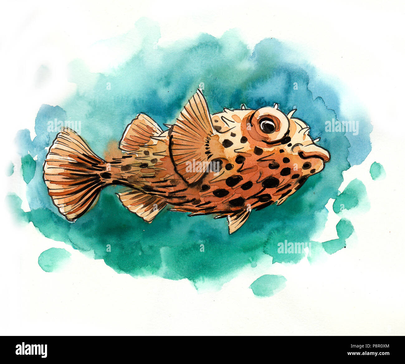 Fugu fish drawing hi-res stock photography and images - Alamy