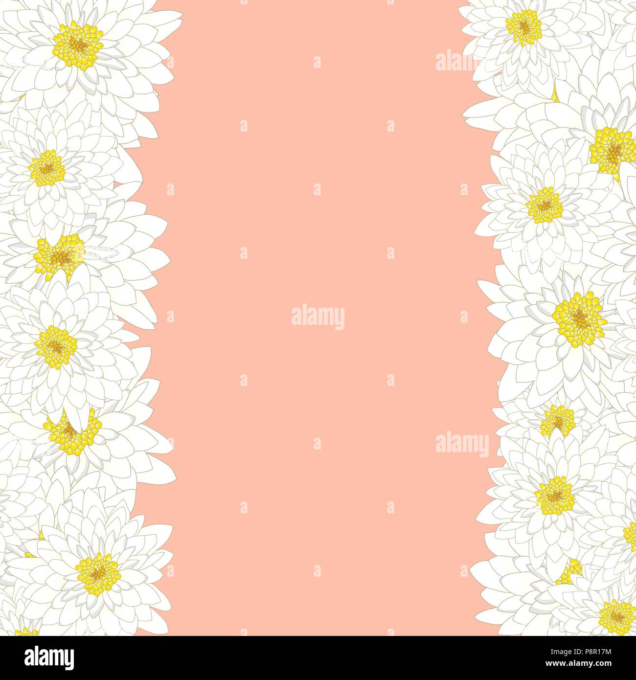 White Chrysanthemum Border isolated on Pink Background. Vector ...