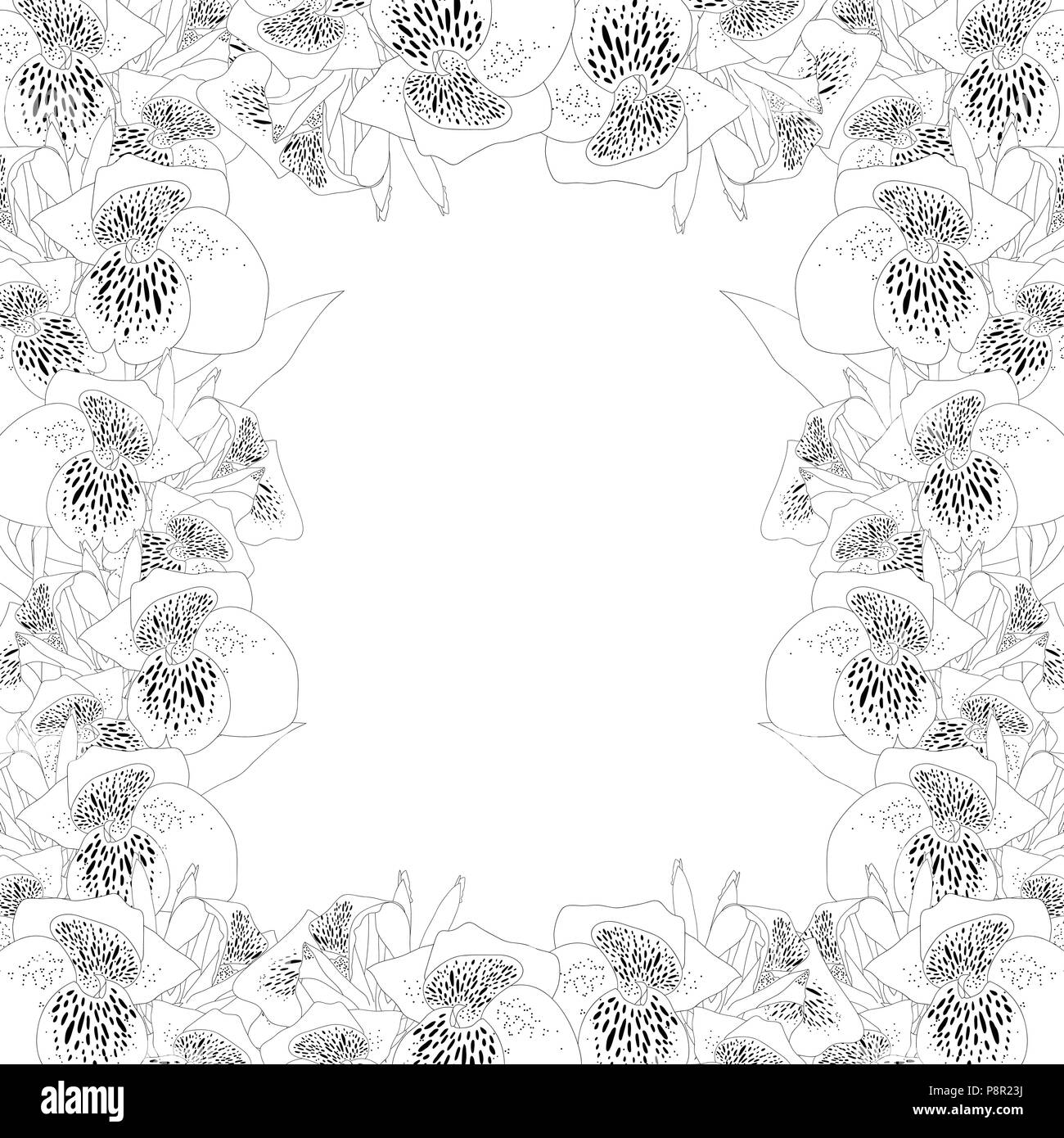 Canna indica leaf Stock Vector Images - Alamy